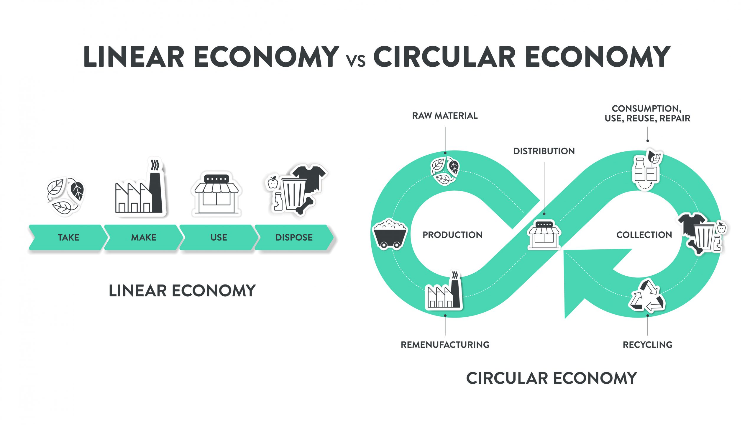 Circular economy: How can we take nature as a model? | FH Technikum Wien