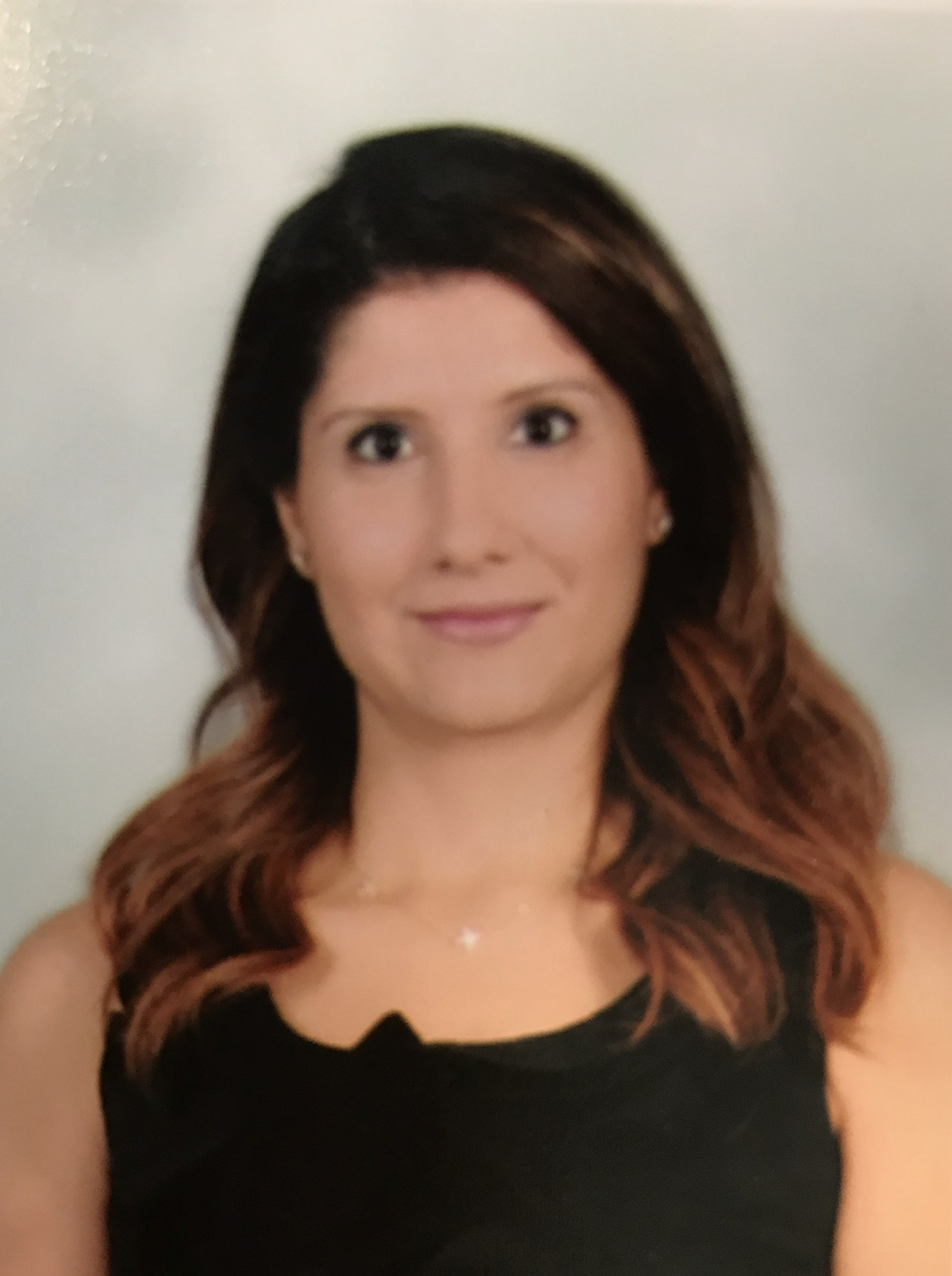 Dr.rer.soc.oec. Sefa Zeynep Siretioglu Girgin | FH Technikum Wien